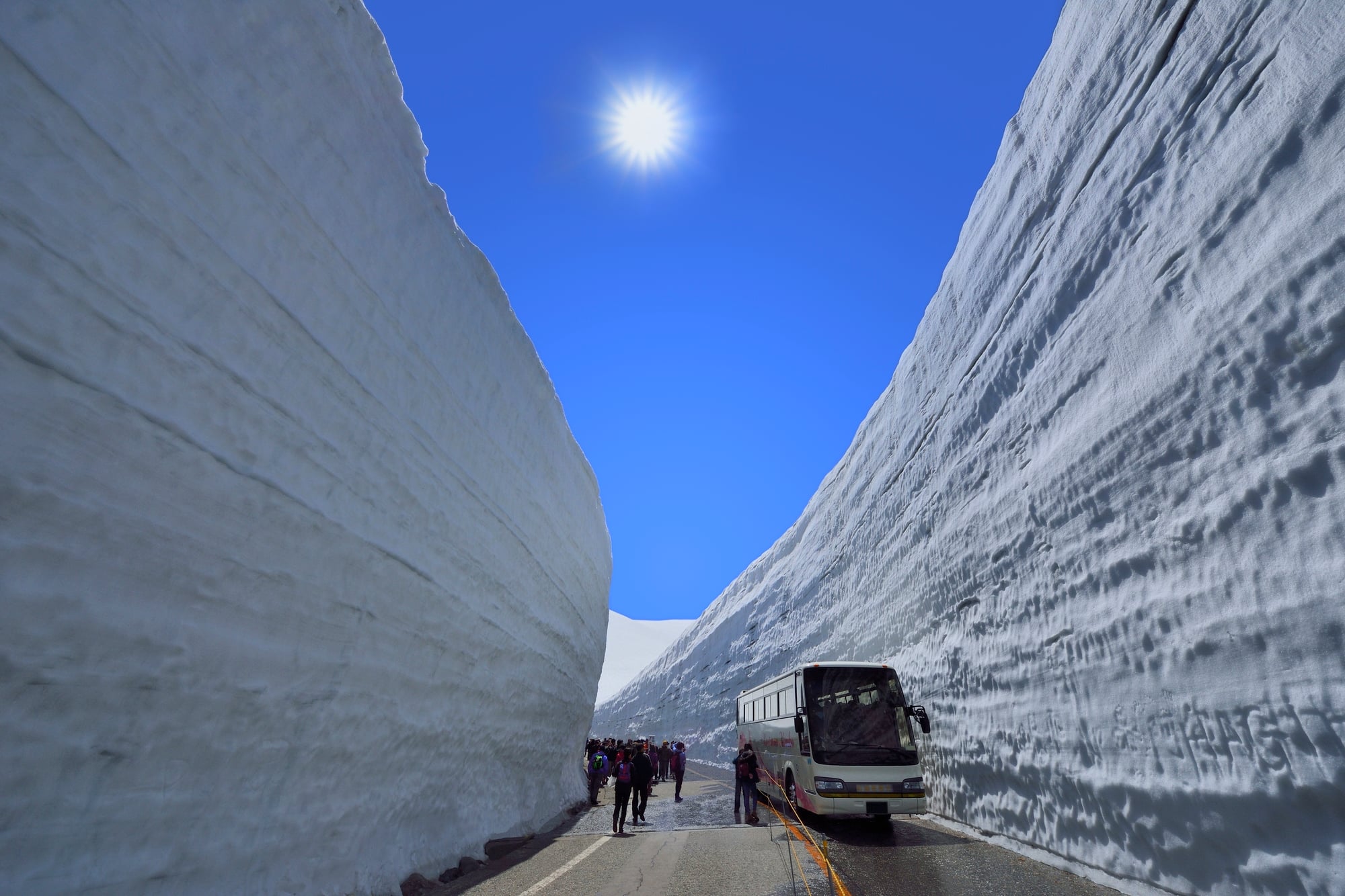Alpine Routes & Cultural Japan ~April to May~ | BluePlanet